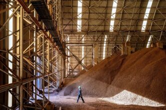Apotex Eyes Public Market with Potential $730 Million First-Half ...